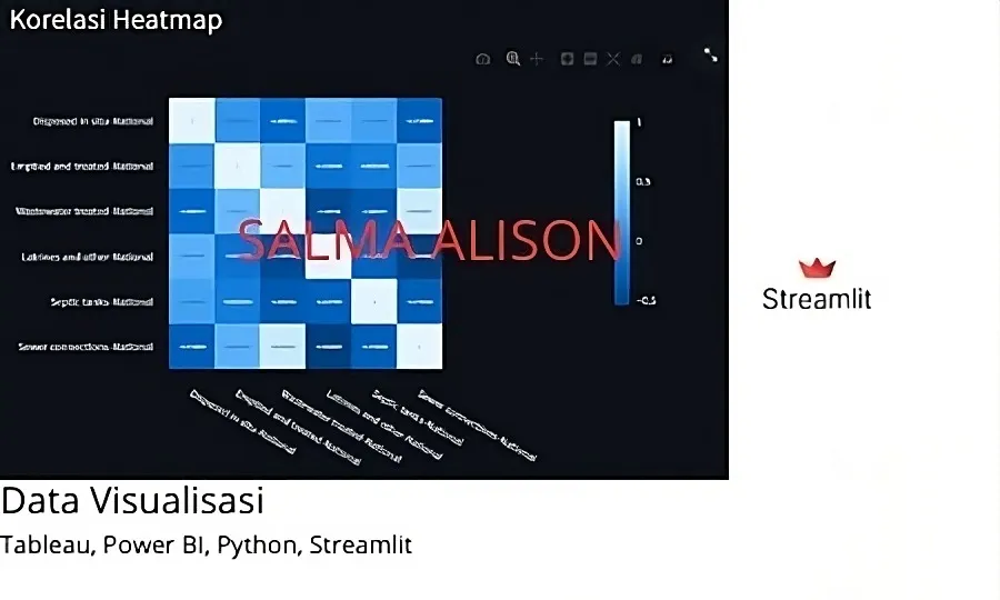 Data Visualisasi (Streamlit)